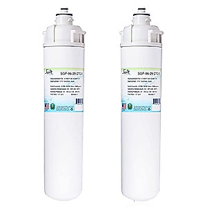 Swift Green Filters SGF-96-29 CTO-S Compatible Commercial Water Filter for EV9617-26, EV9617-21 (2 Pack),Made in USA