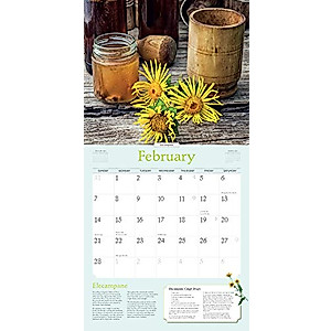 Rosemary Gladstar's Herbs Wall Calendar 2021