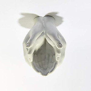 Interior Illusions Hands Helping Hand Hook