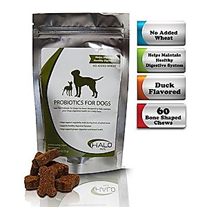 Premium Probiotics For Dogs By Halo Pets - Digestive Enzyme Support For All Dog Types - No Added Wheat - Maintains Healthy Digestion, Immune System and Bowel Health - Supplement For Daily Use - 60 Bite Size Duck Flavored Bone Shaped Chews