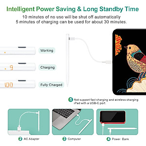 Stylus Pen for iPad with LED Power Display, Capacitive Stylus MKQ Active Pencil with Palm Rejection, Tilt Sensitivity, Magnetic Function, Compatible with iPad 2018 and Later Versions