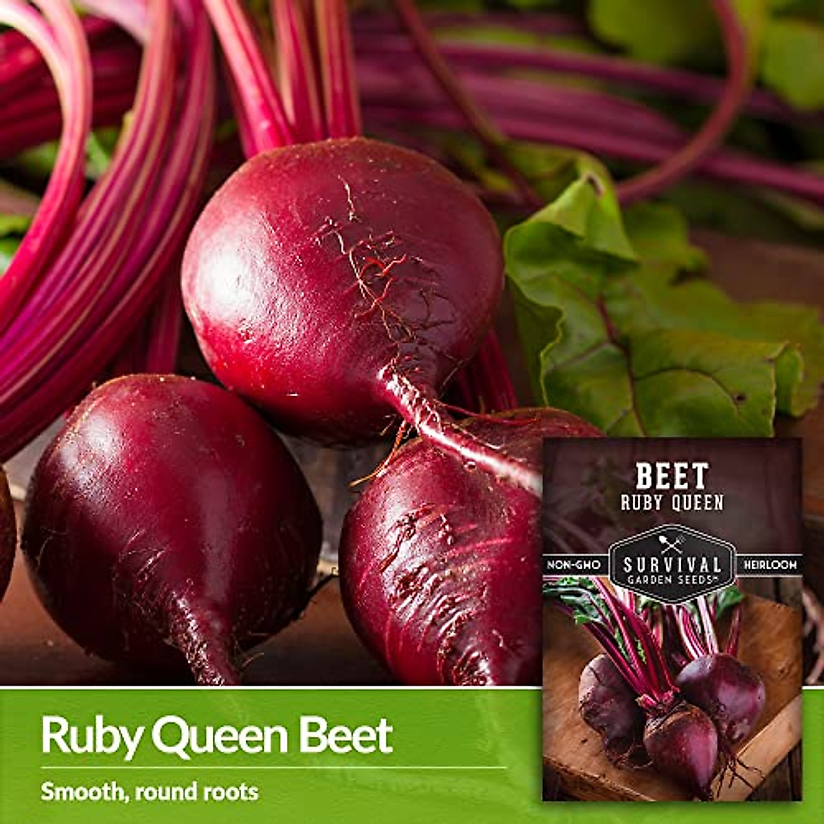 Survival Garden Seeds - Ruby Queen Beet Seed for Planting - Packet with Instructions to Plant and Grow Sweet Delicious & Nutritious Red Beets in Your Home Vegetable Garden - Non-GMO Heirloom Variety