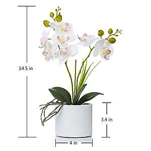 Jusdreen 1 Pcs Ceramic Vase Artificial Orchid Flower Bonsai Vivid Phalaenopsis Flowers Potting for Home Office Décor,Table Centerpiece Room Decorations 14.5 INCH (Ceramic Pot/White Orchid)