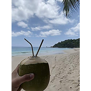 Stainless Steel Straws (Tall)