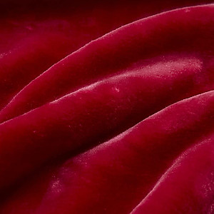 Clara Clark Toddler Blankets for Boys - Micro Mink Ultra Plush Baby Blankets, Soft and Cozy Warm Kids Blanket - 39 x 50, Baby Blue Toddler Blanket