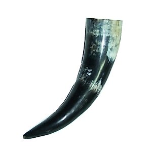 Polished Buffalo Horn - Natural Buffalo Horn (6-10 Inches)