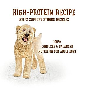 Purina Beneful High Protein, Gravy Wet Dog Food Variety Pack, Prepared Meals Stew - (2 Packs of 6) 10 oz. Tubs