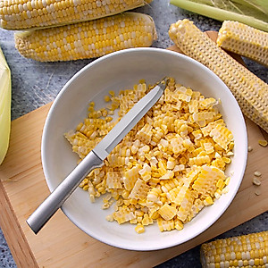 Rada Cutlery Utility Steak Knife with Aluminum Handle Pack of 2