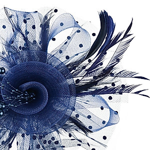 DRESHOW Fascinators Hat Flower Mesh Ribbons Feathers on a Headband and a Clip Tea Party Headwear for Girls and Women