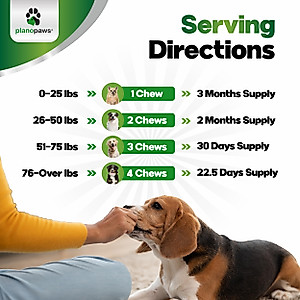 Probiotics for Dogs All Ages - Dog Probiotics for Digestive Health - Digestive Enzymes for Gut Flora, Diarrhea & Bowel Support - Gut Health Support Prebiotics for Dogs - 90 Probiotic Chews for Dogs