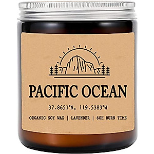 Pacific Ocean - California Scented Candle - Organic Soy Wax - Gift for Her - Gift for Him - New Home Gifts - Birthday Gift for Friend - National Park Gifts - State Candles