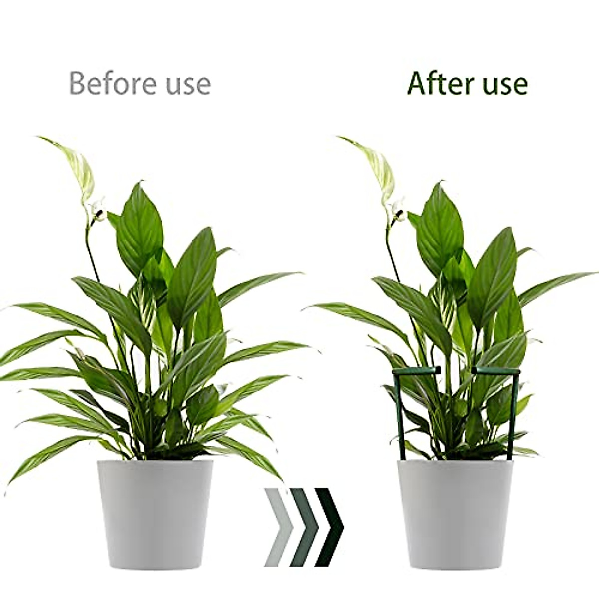 12 Pack Plant Support Plant Stakes with 24 Pcs Plant Clips, Half Round Plant Support Ring Plastic Plant Cage Holder Flower Pot Climbing Trellis for Small Plant Flower Vegetable,Indoor Plants