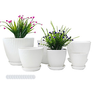 RooTrimmer Plant Planters with Drainage Holes and Trays Pack of 6 Plant Pots 7.5/6.5/5.5/4.9/4.2/3.5 Inches Flowers Pots, White
