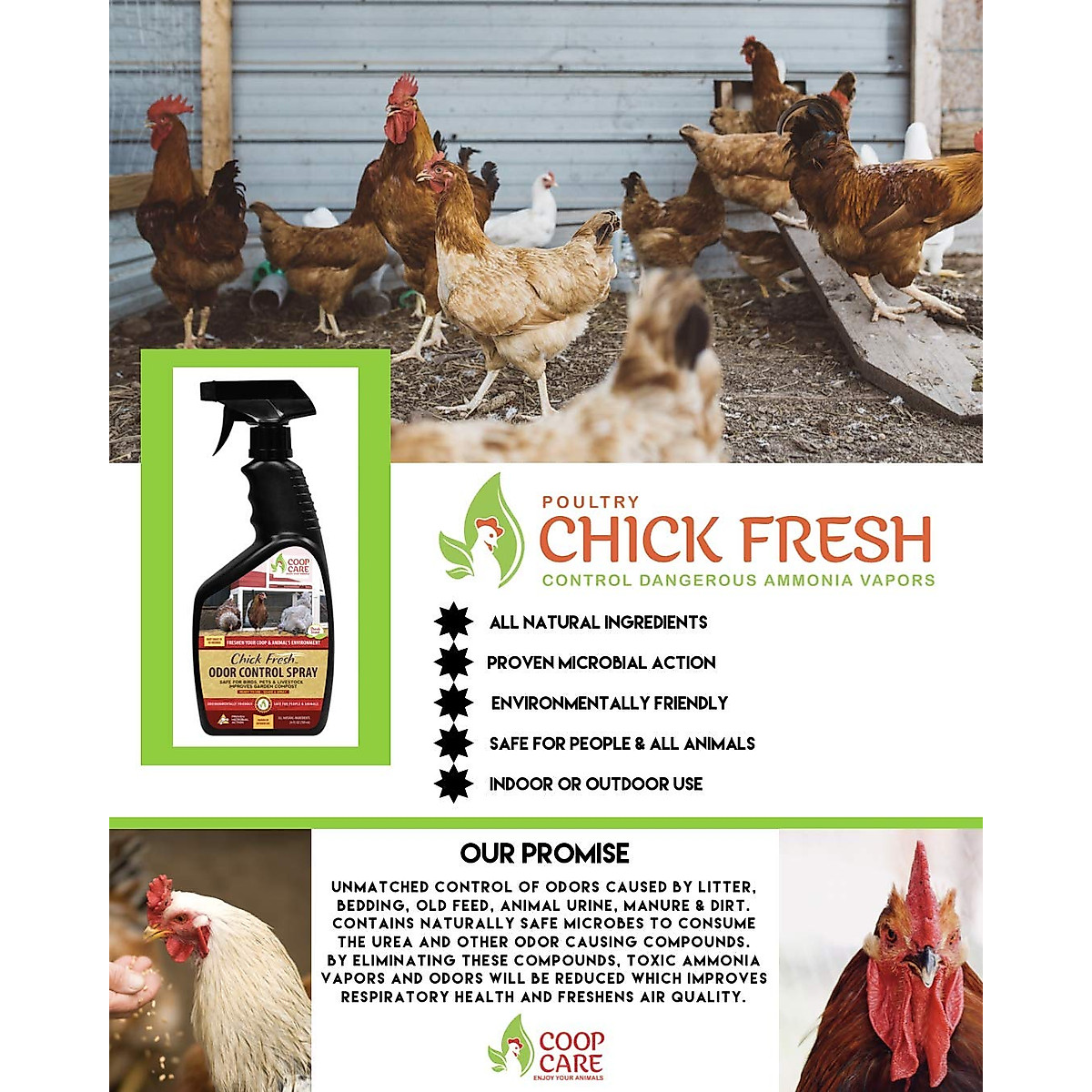Coop Care Chick Fresh - Odor Control Spray for Backyard Chickens. Eliminator of Chicken Coop & Brooders Odor & Ammonia! 24 oz Poultry Spray Bottle Poultry Supplies from