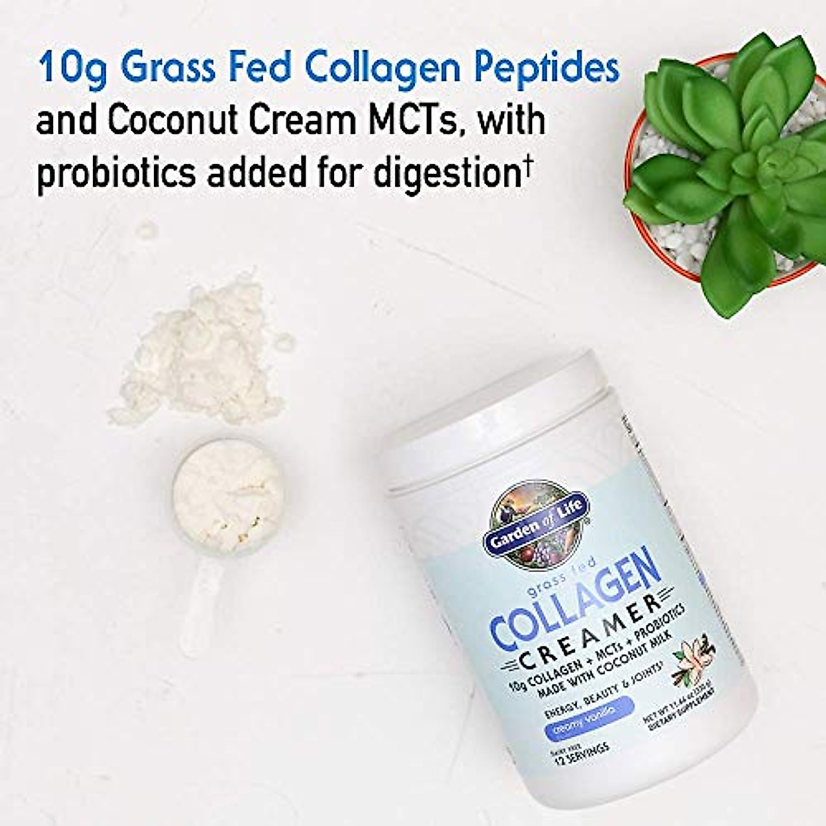 Garden of Life Grass Fed Collagen Creamer Powder - Creamy Vanilla, 12 Servings, Collagen Powder for Coffee Energy Beauty Joints, Collagen Peptides Powder, Coconut MCTs, Collagen Protein Supplements