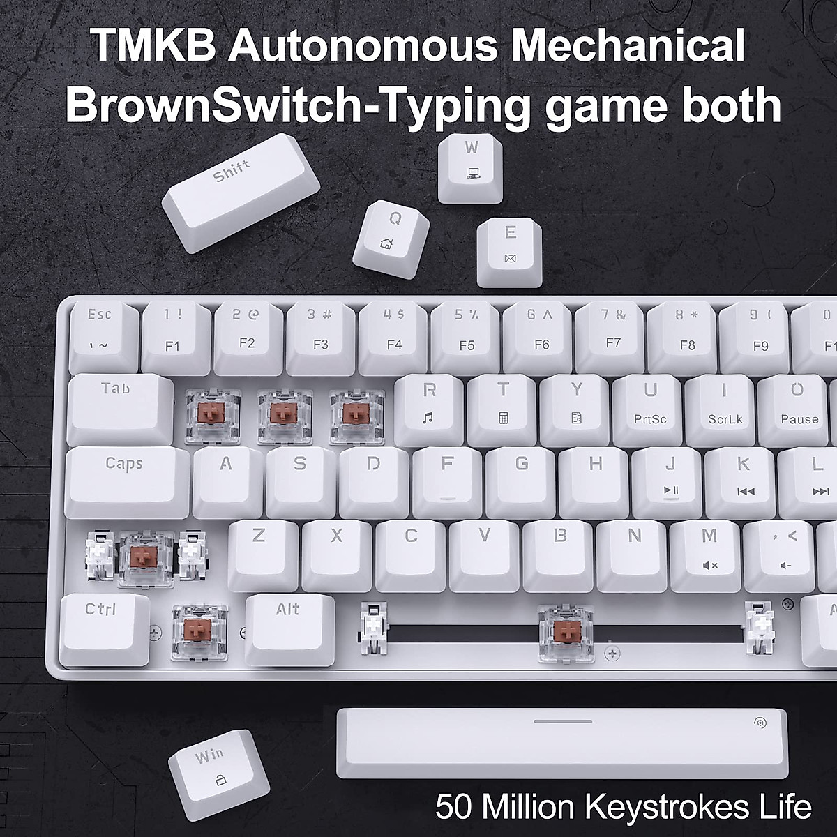 DIERYA T68SE Mechanical Gaming Keyboard, LED-Backlit Wired Keyboard, Ultra-Compact Mini 68-Key White Keyboard with Brown Switches, Anti-Ghosting Keys, for Windows Laptops and PC Gamers