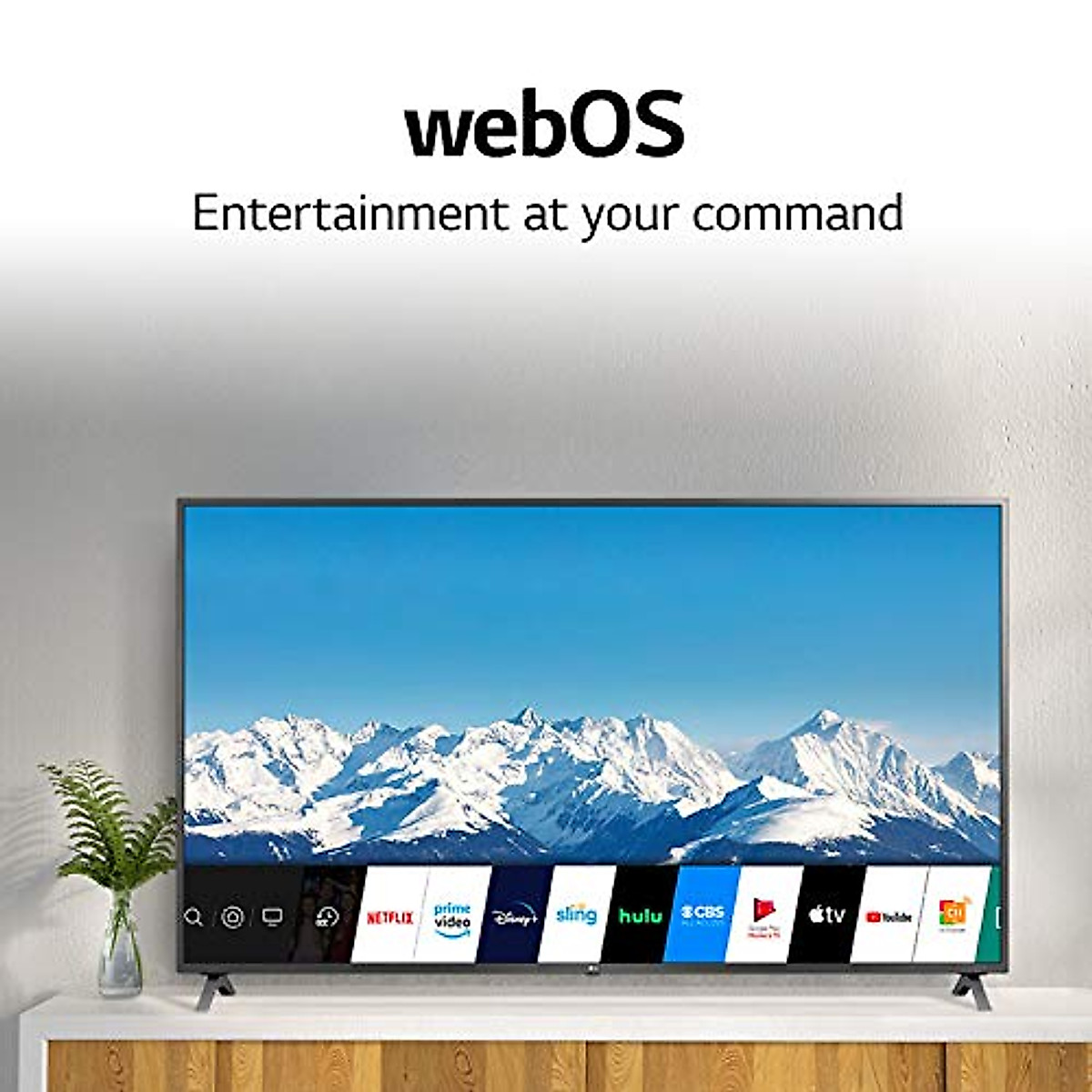 LG 65UN7300PUF Alexa Built-In UHD 73 Series 65" 4K Smart UHD TV (2020)