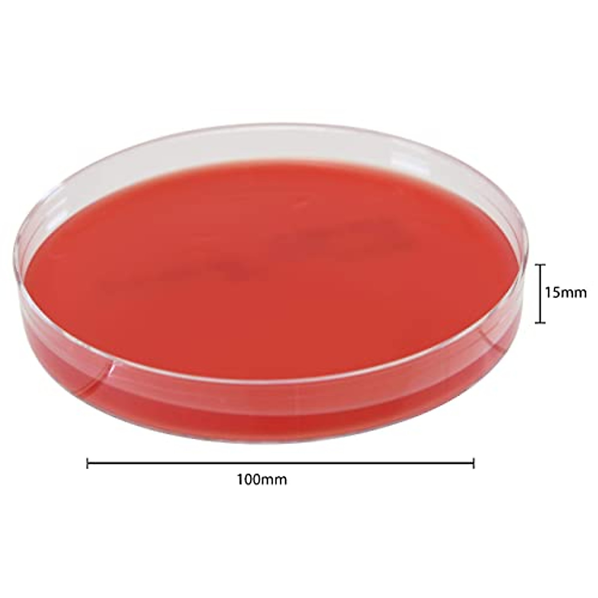 Columbia Blood Agar, 5 Percent Sheep Blood, a General Growth Medium for The Cultivation of Microorganisms, Shows Hemolytic Reactions, 15x100mm Plate, Order by The Package of 10, by Hardy Diagnostics