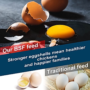 WORKPOINT 10LBS Black Soldier Fly Larvae for Chickens, 100% Natural Premium Quality Non-GMO, Treats for Poultry, Chickens, Ducks and Geese