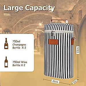 Tirrinia 2 Bottle Wine Gift Tote Carrier - Leakproof & Insulated & Padded Versatile Cooler Bag for Travel, BYOB Restaurant, Wine Tasting, Party, Great Christmas Gift for Wine Lover, Stripe