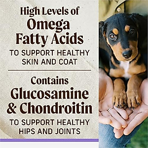 Merrick Backcountry Healthy Grains Premium Dry Puppy Food, Kibble with Freeze Dried Raw Pieces, Chicken - 10.0 lb. Bag