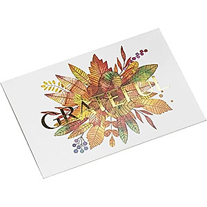 48 Pack Bulk Thanksgiving Greeting Cards and Kraft Envelopes, 6 Fall Designs, Blank Inside (4 x 6 In)
