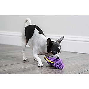 goDog Checkers Just for Me Dinos Bruto Squeaky Plush Dog Toy, Chew Guard Technology - Purple, Mini
