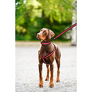 Mile High Life Night Reflective Double Adjustable Band Nylon Small Puppy Pet Dog Combo Collar Leash and Harness Set (Reflective Edge Red, Small (Pack of 3))