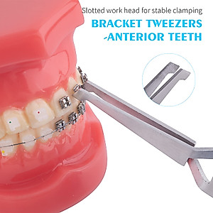 ANNWAH 3 Pieces Dental Reverse Action Tweezers - Orthodontic Bracket Placer Cross Locking Tweezer Dental Buccal Tube Tweezer De Bonding Tweezers