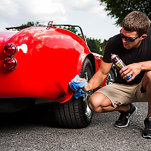 Stoner 91154-6PK Bug and Tarminator Bug/Tar/Sap/Grease Remover - 10 oz., (Pack of 6)