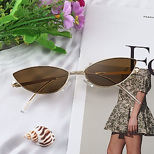 FEISEDY Fashion Designer Sunglasses Retro Small Petals Shape Arc Temple Design B2298(Brown)