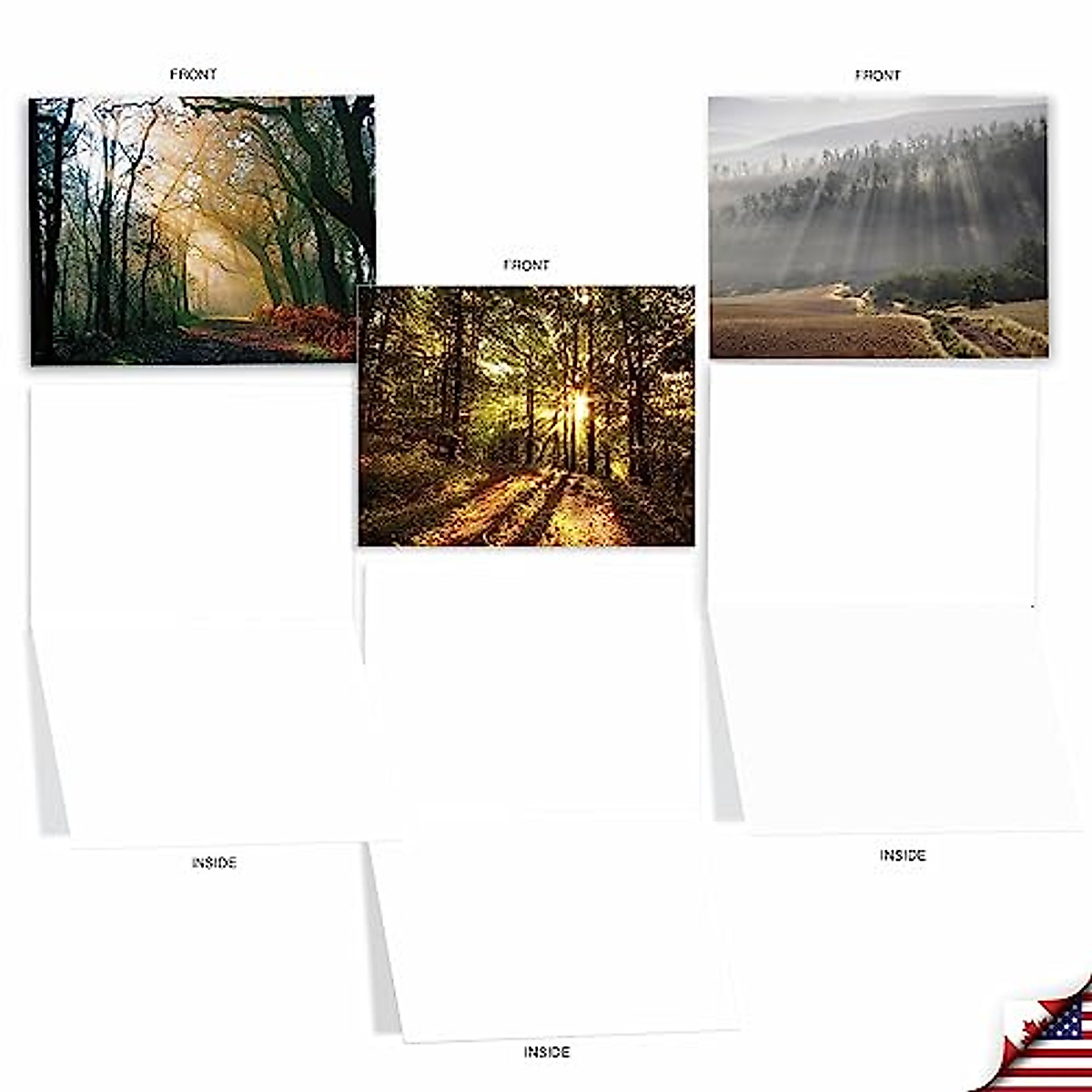 The Best Card Company - 20 Landscape Nature Note Cards Blank (4 x 5.12 Inch) (10 Designs, 2 Each) - Shining Through AM1735OCB-B2x10