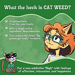 Cat Weed Premium Catnip - All Natural - Maximum Potency Cat Nip - Sprinkle On Your Kittens Favorite Toy Scratch Pad Or Other Refillable Cat Toys - Your Kitty Will Love You
