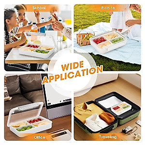 AIEVE Snack Containers, 4 Compartments Reusable Snack Box Container with Lids for Candy Fruits Nuts Snacks Platters