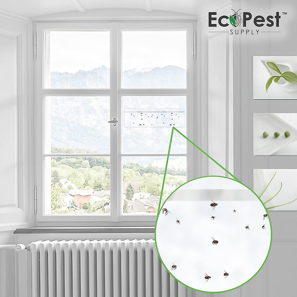 Window Fly Traps – 12 Pack | Transparent Sticky Fly Trap for Windows | Discrete, Extra Large Insect Glue Trap and Indoor Bug Catcher for House Flies and Other Flying Insects