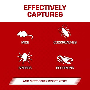 Tomcat Mouse Trap with Immediate Grip Glue for Mice, Cockroaches, Spiders, and Scorpions, Ready-To-Use, 4 Traps