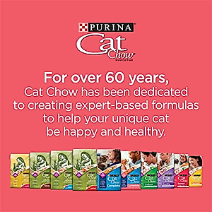 Cat Chow Complete High Protein with Salmon Cat Food Dry Formula - (4 Packs of 4) 3.15 lb. Bags