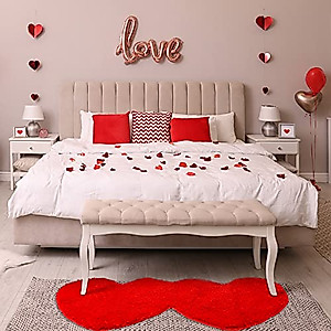 Valentines Day Heart Rug Double Heart Shaped Rug Decorative Non Slip Bathroom Rug Doormat Washable Love Shag Shower Mat Home Bedroom Living Room Entrance Welcome Floor Decor, 15.75 x 31.5 Inch (Red)