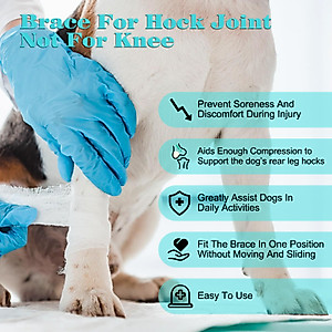 Domagiker Rear Leg Hock Brace, Dog Knee Brace with Metal Strips, Hock & Ankle Support Back Leg for Canine Torn, Dog Leg Sleeve for ACL & CCL Injury and Sprain Protection (Black, Medium(one Pair))