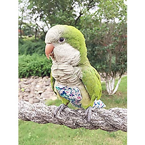 HEZHUO Parrot Diapers, Bird Flight Suits, Bird Suits, Reusable Waterproof Diapers, pet Bird Supplies (M, Pink)