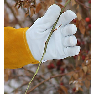 Suse's Kinder Garden Gloves for Women, Thorn Proof Rose Pruning Gloves with Kevlar Lining (Yellow/White, XS)
