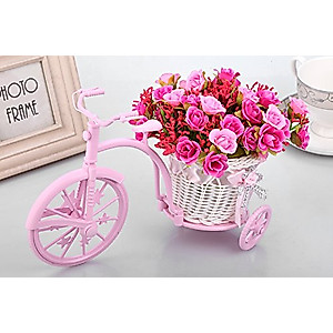 Louis Garden Nostalgic Bicycle Artificial Flower Decor Plant Stand (Pink)