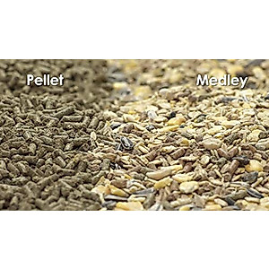 Kaytee Forti Diet Pro Health Guinea Pig Food, 25-Pound