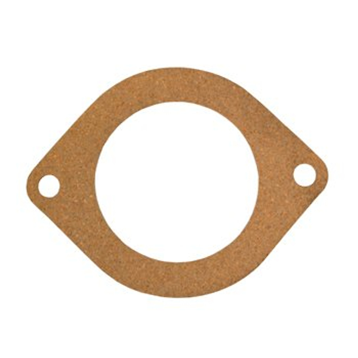 Western / Fisher Snowplows Motor Gasket 25861