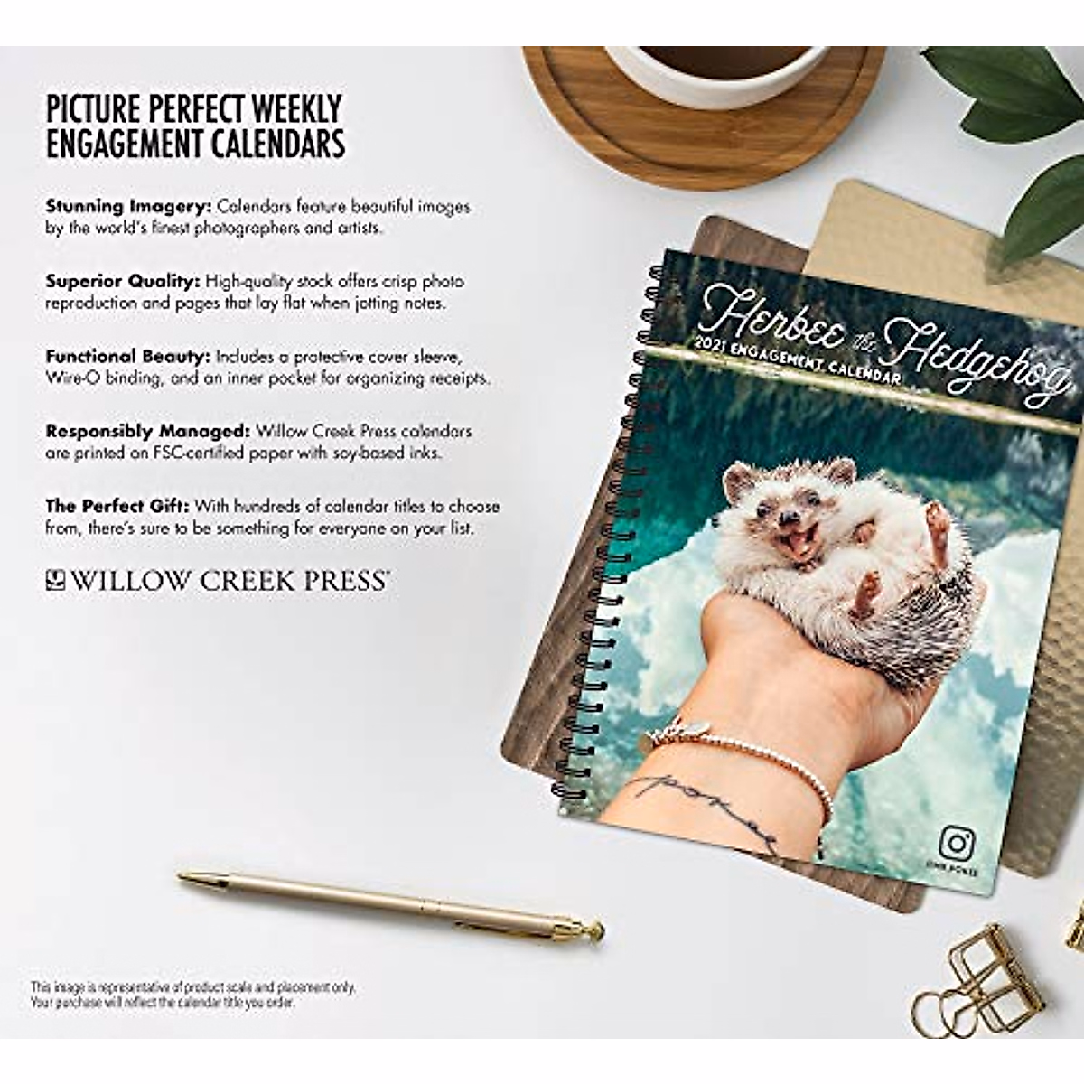 What Cats Teach Us 2021 Engagement Calendar