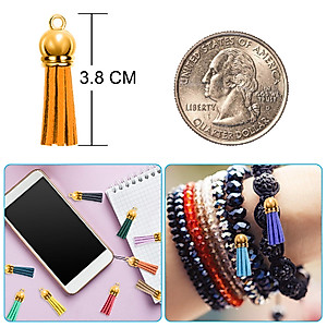 Duufin 200 Pieces Keychain Tassels Bulk Leather Tassel Colored Tassel Pendants for DIY Keychain and Craft, 40 Colors (Gold Cap)