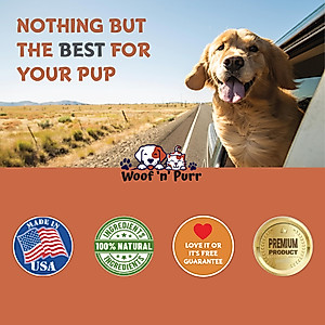 Dog Glucosamine - Supports Hip & Joint Health, & Much More - Glucosamine for Dogs Hip and Joint Supplement - Glucosamine for Dogs - Dog Joint Supplement - Glucosamine Chondroitin for Dogs - 1 fl oz