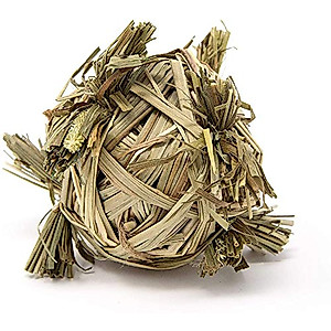 Oxbow Animal Health 3 Pack of Crazy Hay Ball Small Pet Chew Toys