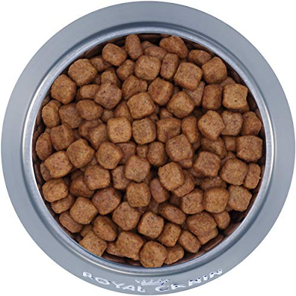 Royal Canin Dachshund Adult Breed Specific Dry Dog Food, 10 lb bag