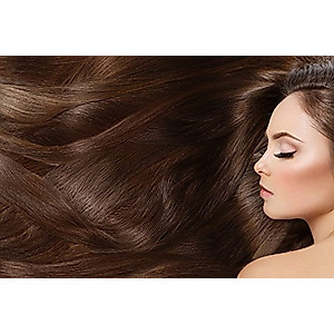 Catalase Boost Shampoo Daily Catalase Shampoo for Men and Women 8 Ounces